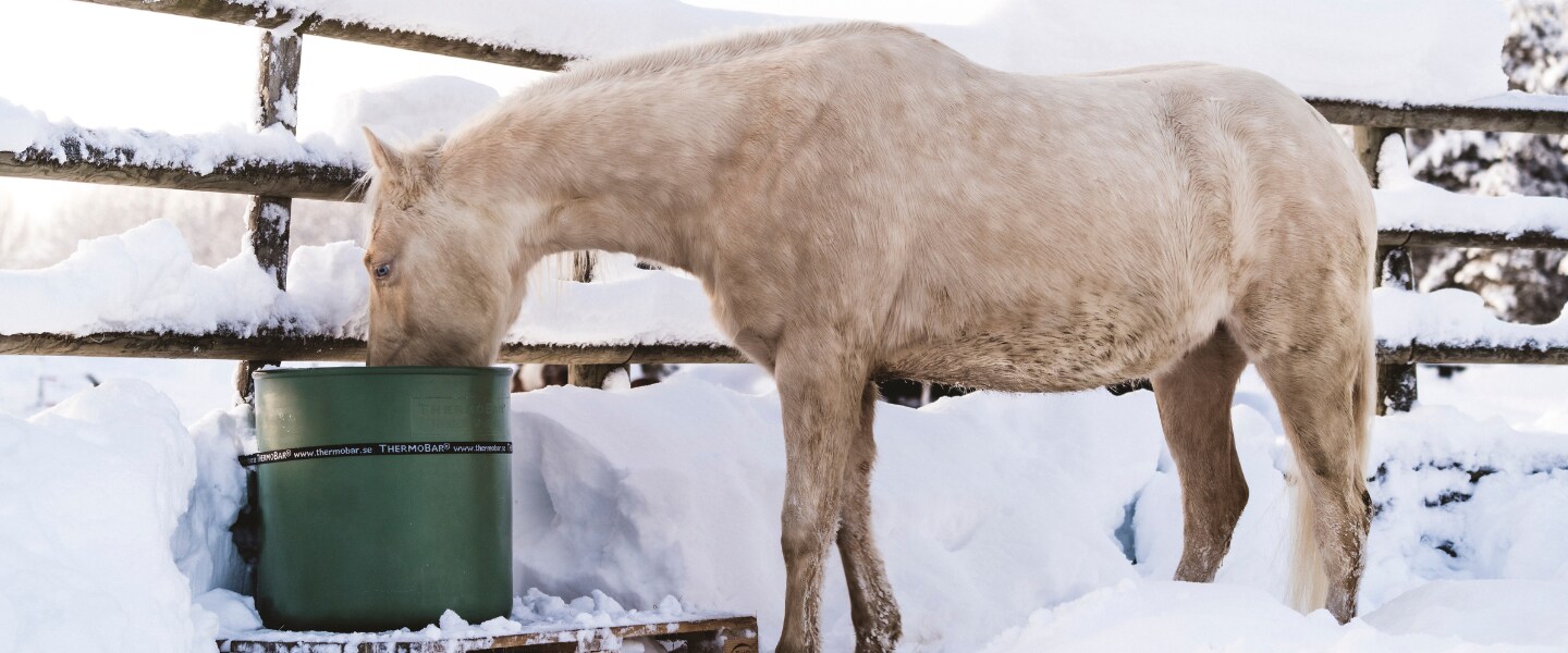 Frostfritt vatten - Willab